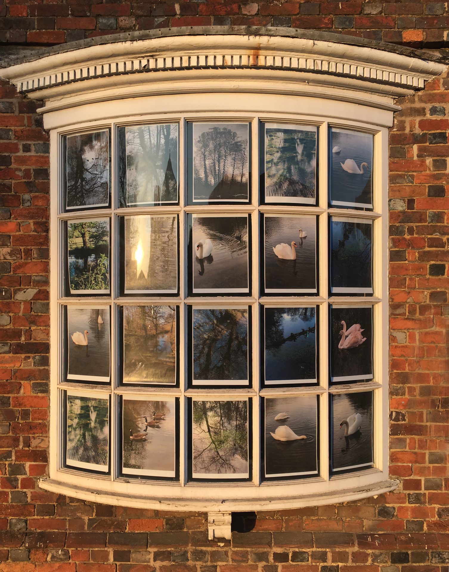 Mount House Gallery window installations 2020 – Siobhán Humston Art