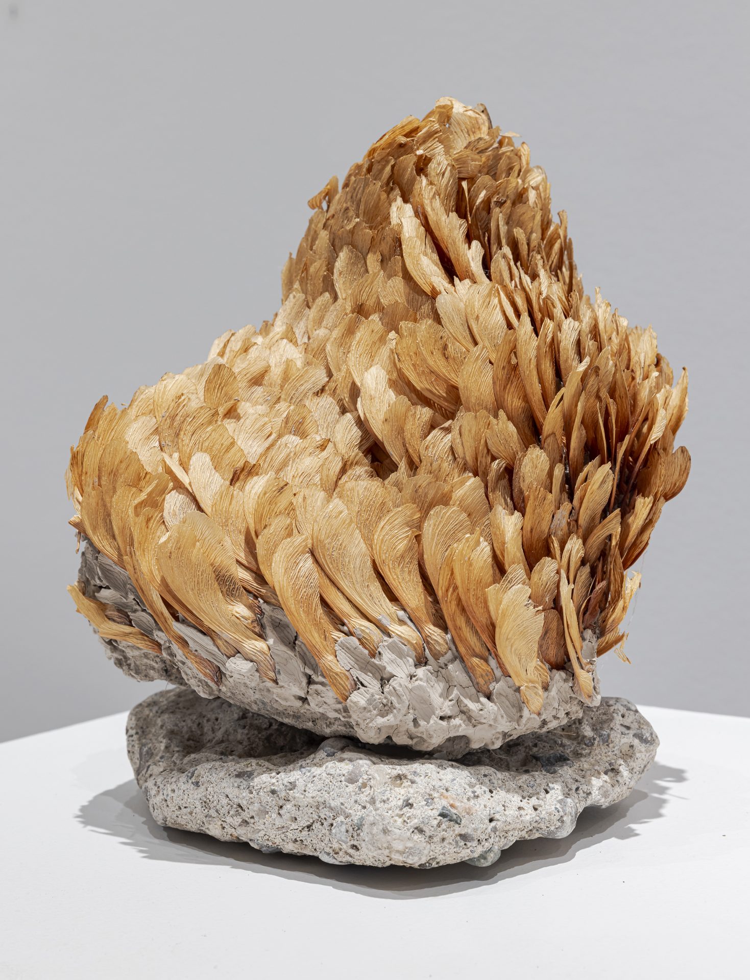 Samara Forms 2022 – Siobhán Humston Art